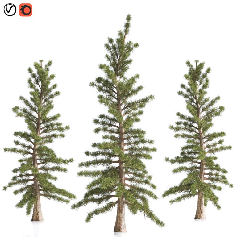 Pine tree 2 (358864) 3D model - Download 3D model Pine tree 2 (358864 ...