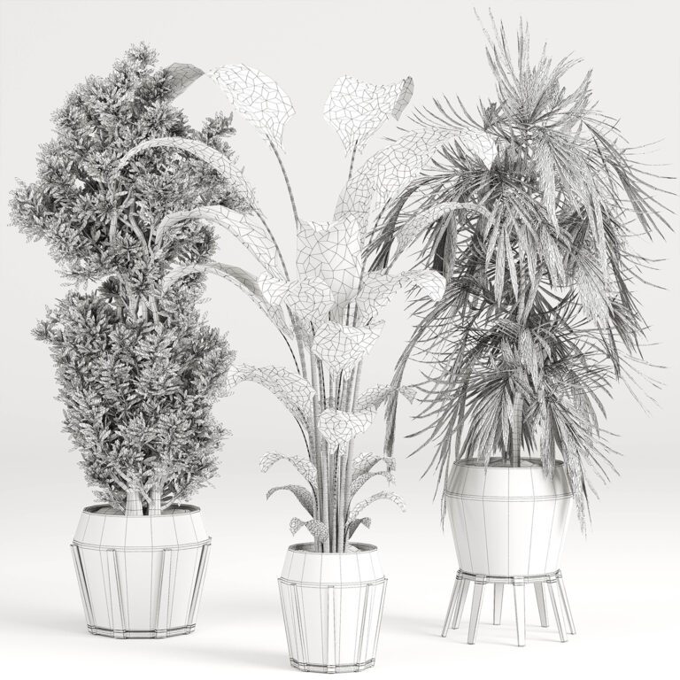 Indoor plant set 02 (359127) 3D model - Download 3D model Indoor plant ...