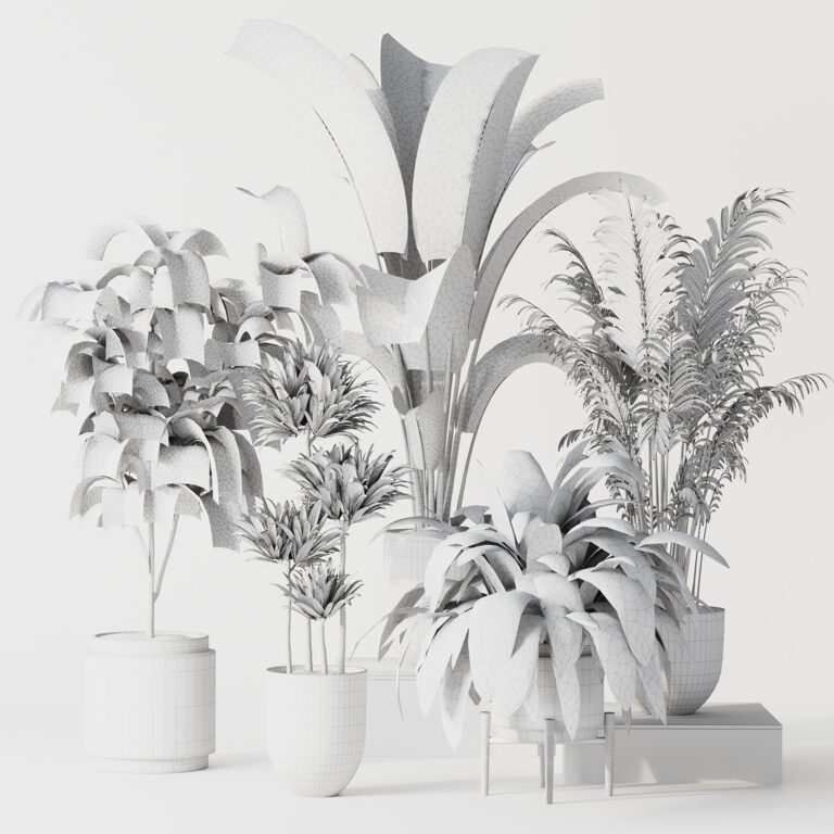 Indoor Plant Set 01 (359635) 3D model - Download 3D model Indoor Plant ...