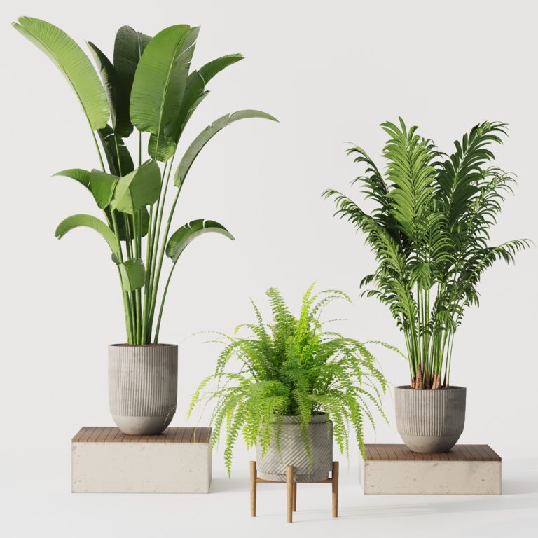 Indoor Plant Set 01 (359635) 3D model - Download 3D model Indoor Plant ...