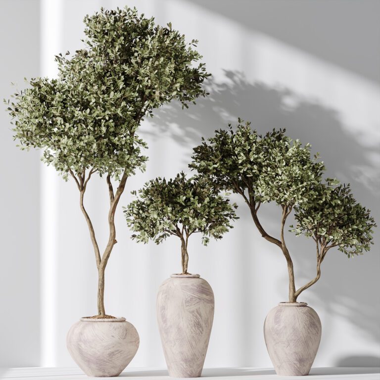 Plants Mission Olive Tree Indoor Vase Set006 (360137) 3D model ...