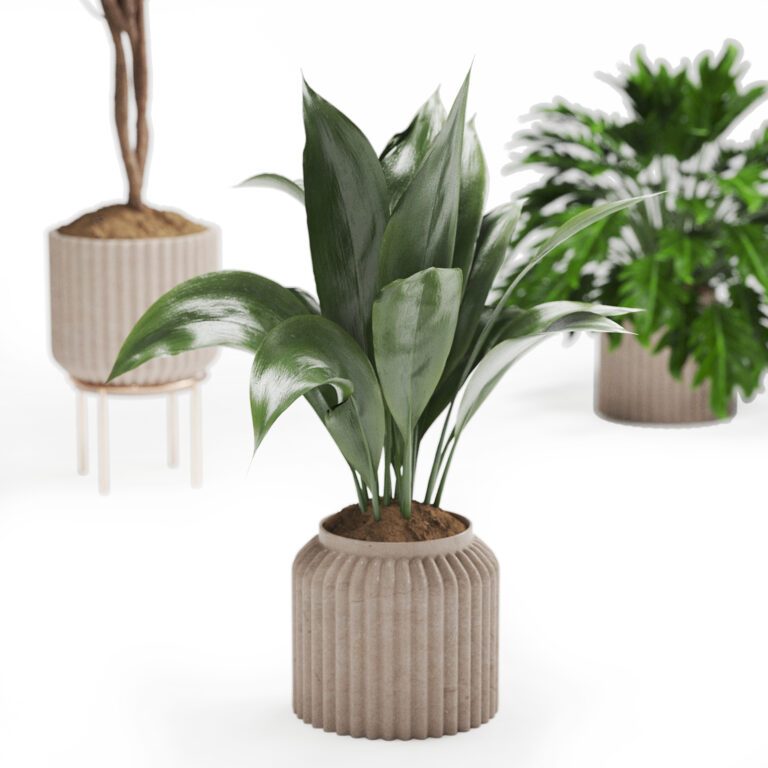 Indoor Plant Set 02 (360827) 3D model - Download 3D model Indoor Plant ...