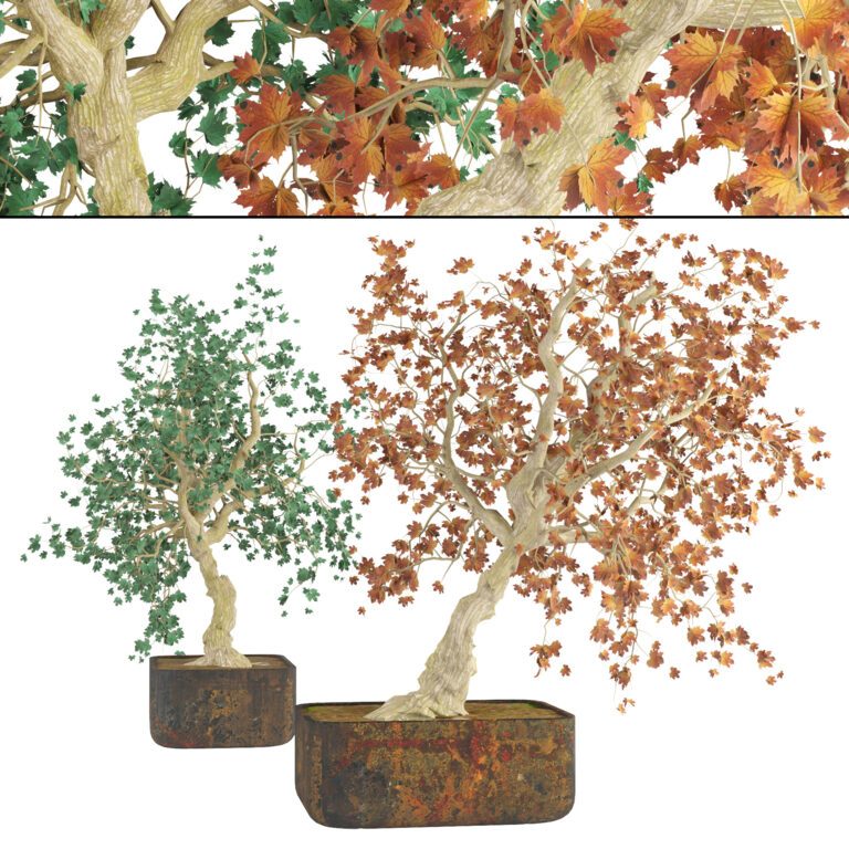 Fall and Green bonny bonsai pot trees (361139) 3D model - Download 3D ...