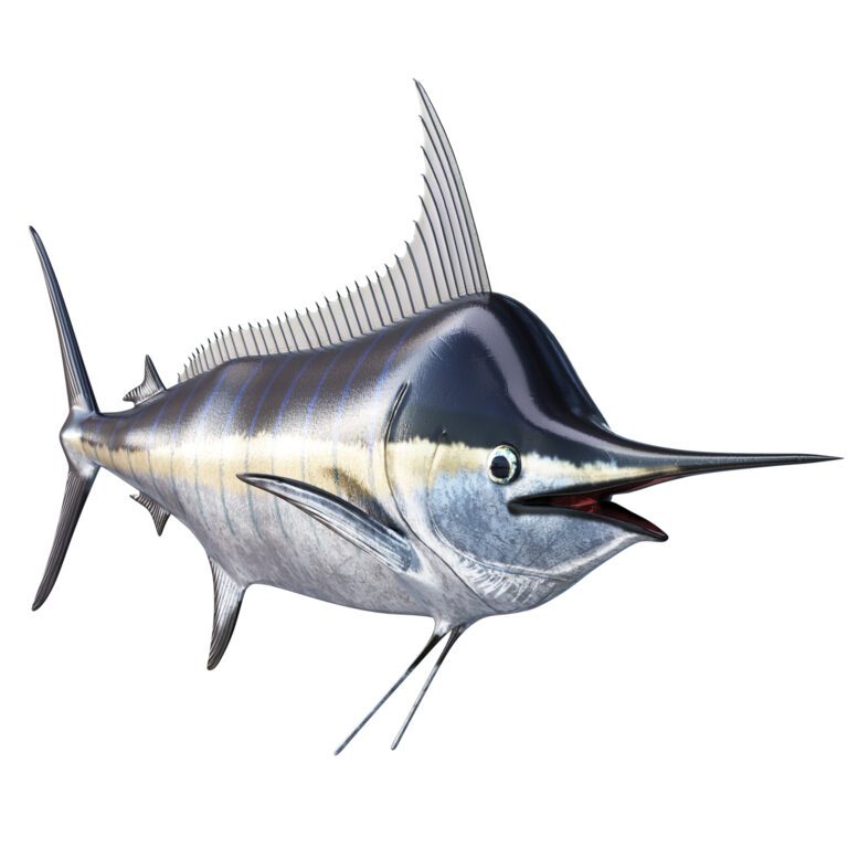 Fauna 3D models - Download 3D models | 3d-baza.com