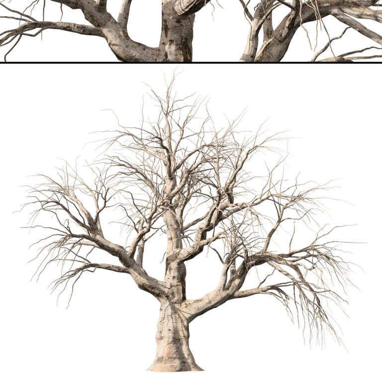 Detailed Tree Trunk (362090) 3D model - Download 3D model Detailed Tree ...