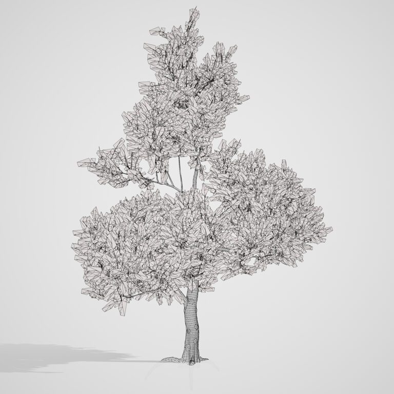 Realistic Gum Tree 3D Models (362204) 3D model - Download 3D model ...