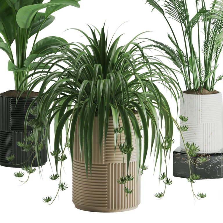 Indoor Plant Set 01 (362378) 3D model - Download 3D model Indoor Plant ...