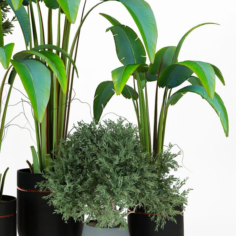 Indoor Plant 42 (363638) 3D model - Download 3D model Indoor Plant 42 ...