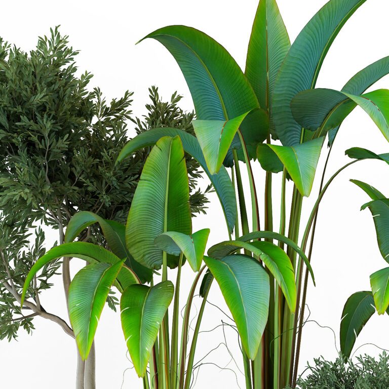 Indoor Plant 42 (363638) 3D model - Download 3D model Indoor Plant 42 ...