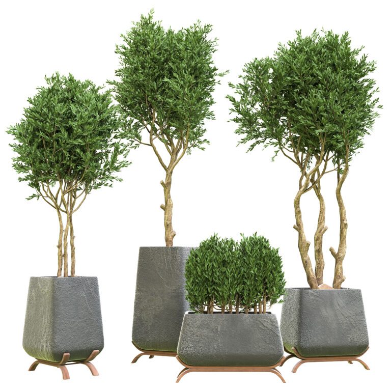 Indoor Plant 45 (363647) 3D model - Download 3D model Indoor Plant 45 ...