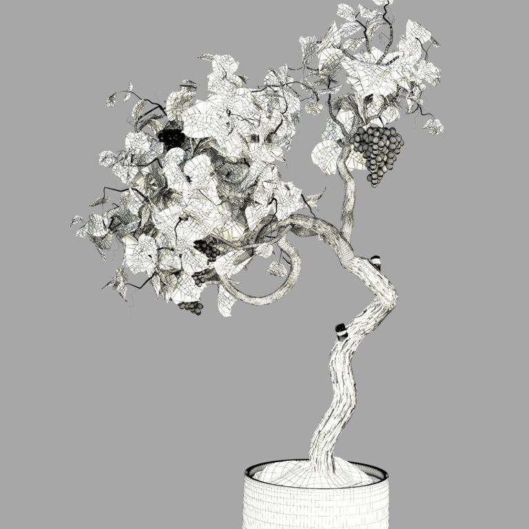 Grapevine (364107) 3D model - Download 3D model Grapevine (364107 ...