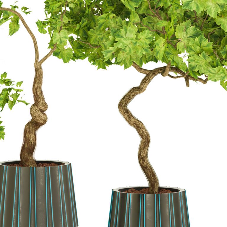Grapevine 2 (364108) 3D model - Download 3D model Grapevine 2 (364108 ...