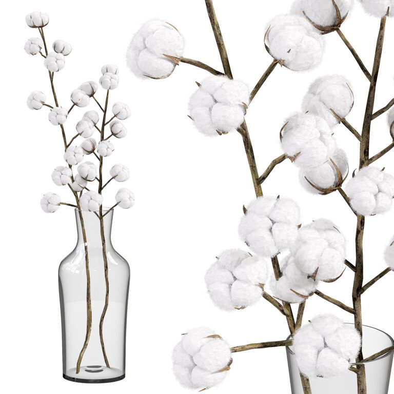 Cotton bouquet (365061) 3D model - Download 3D model Cotton bouquet ...