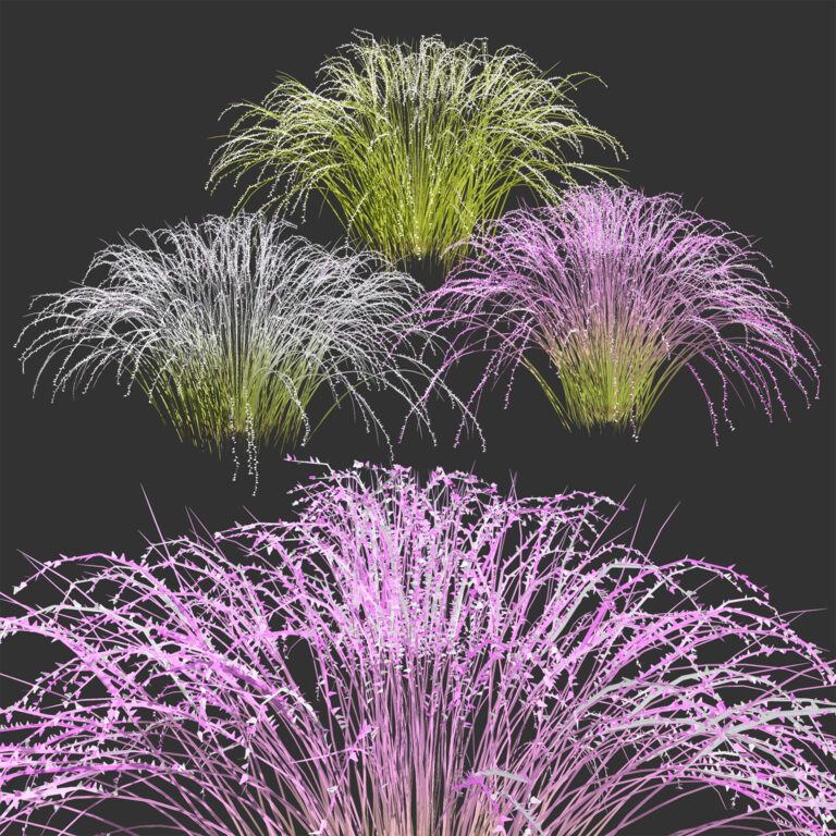Purple Love Grass Collection (372130) 3D model - Download 3D model ...