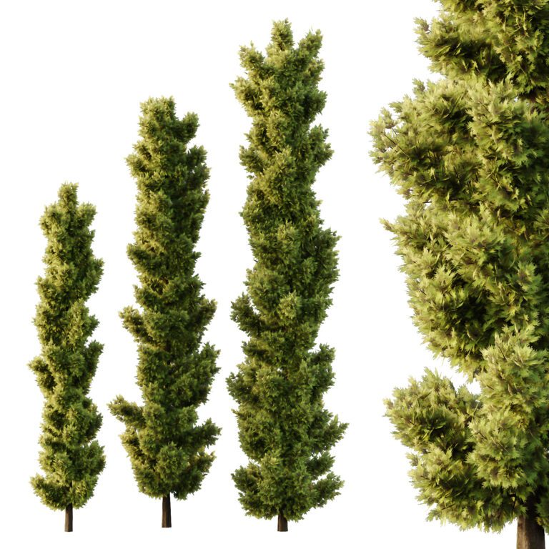 Italian Cypress (372222) 3D model - Download 3D model Italian Cypress ...