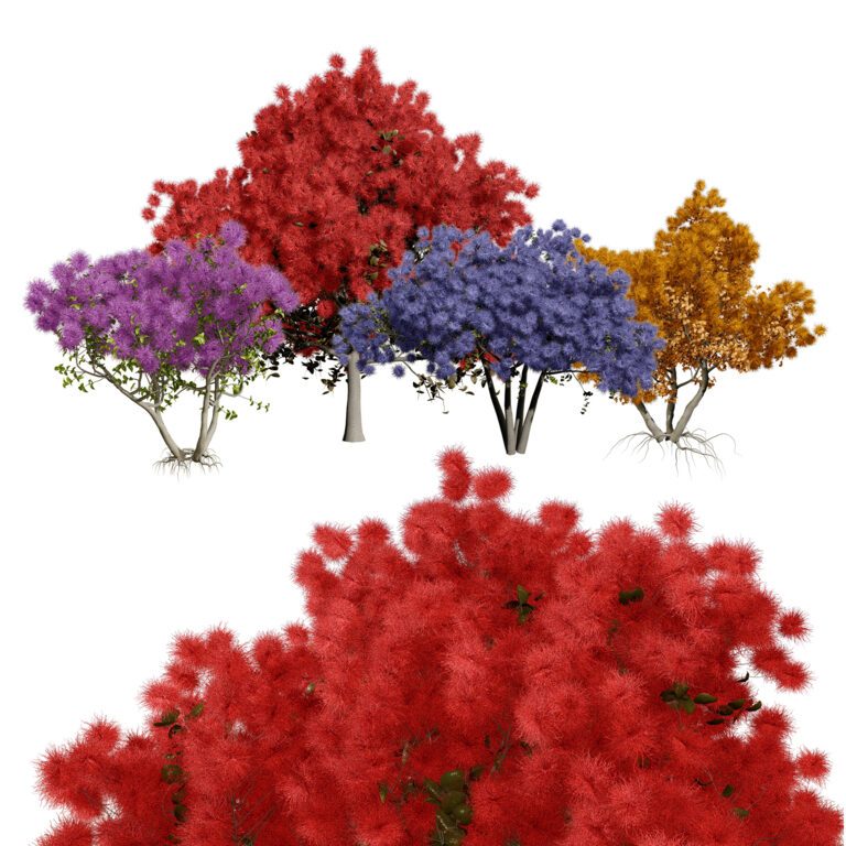 Arboretum smoke trees (372388) 3D model - Download 3D model Arboretum ...