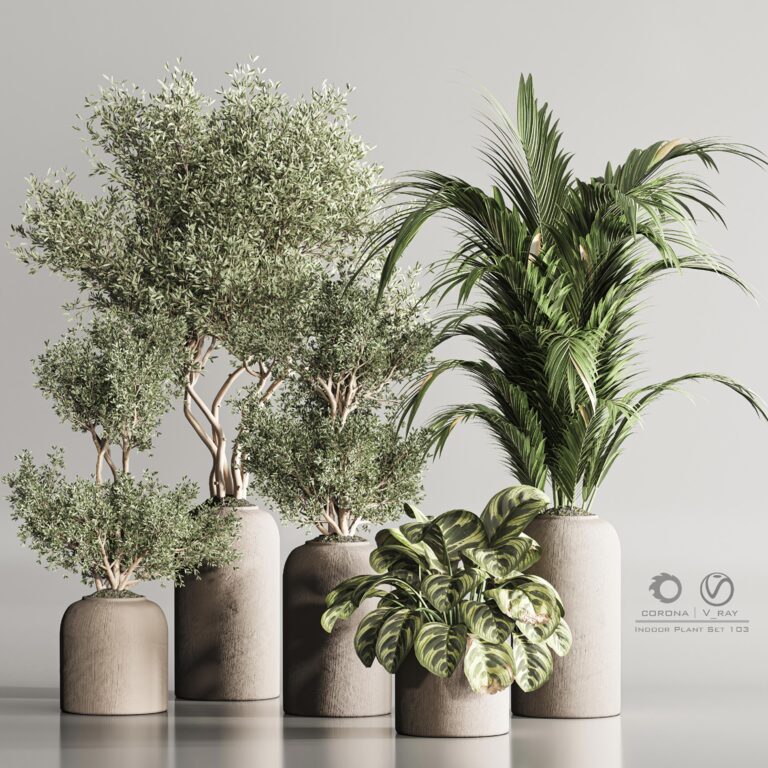 Indoor Plant Set 103 (372411) 3D model - Download 3D model Indoor Plant ...