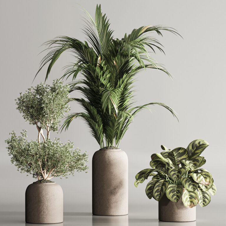 Indoor Plant Set 103 (372411) 3D model - Download 3D model Indoor Plant ...