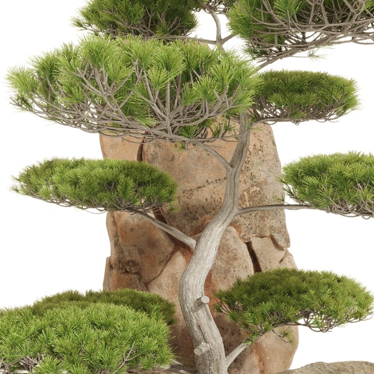 Japanese Tree (372537) 3D model - Download 3D model Japanese Tree ...