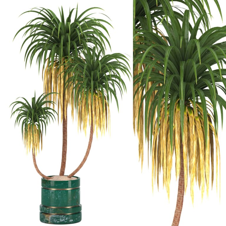 Yucca plant 03 (374867) 3D model - Download 3D model Yucca plant 03 ...