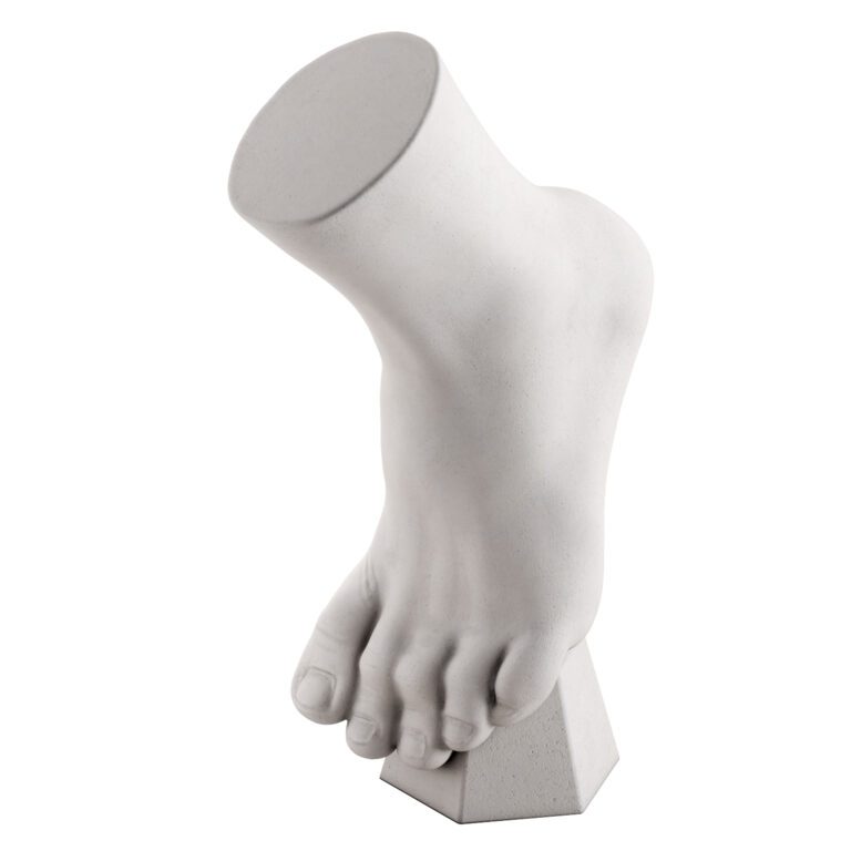Ecorche plaster training manual foot vertical (375454) 3D model ...