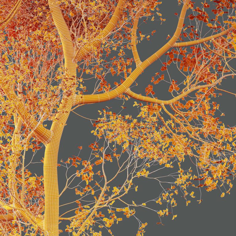 HQ Plants Shorea Robusta Sal Tree (376071) 3D model - Download 3D model ...