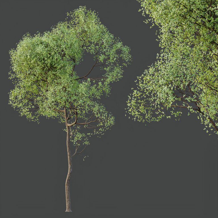 HQ Plants Shorea Robusta Sal Tree 02 (376125) 3D model - Download 3D ...