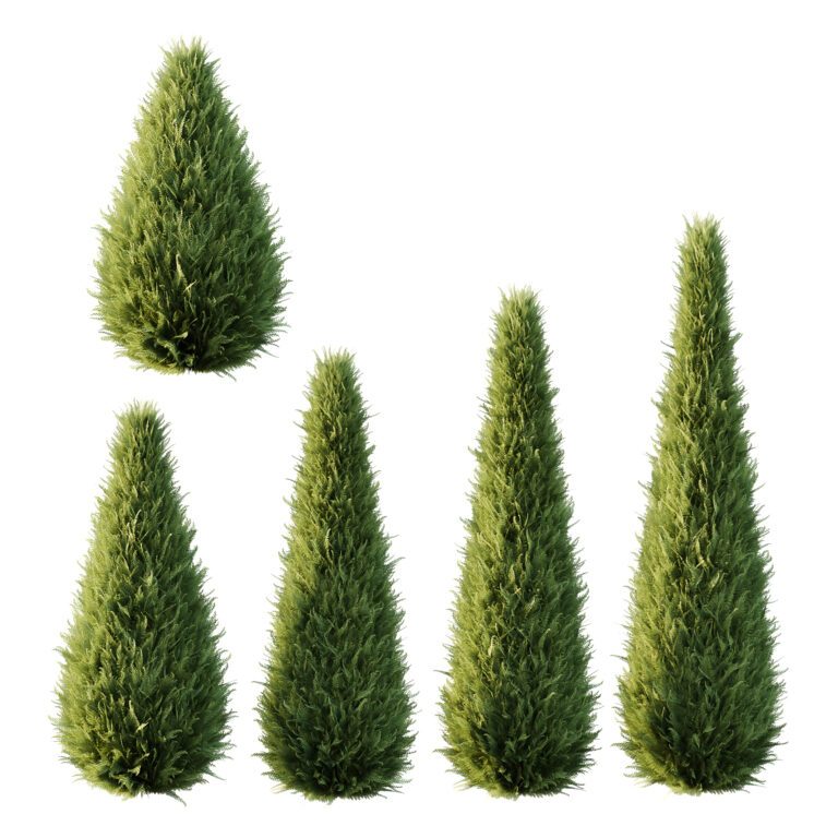 Italian Cypress Tree 16 (376843) 3D model - Download 3D model Italian ...