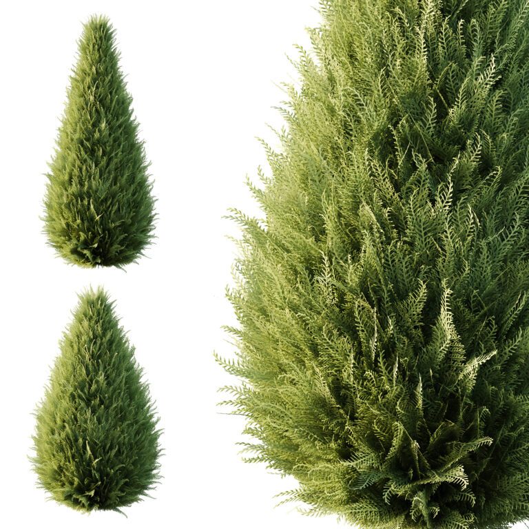 Italian Cypress Tree 16 (376843) 3D model - Download 3D model Italian ...