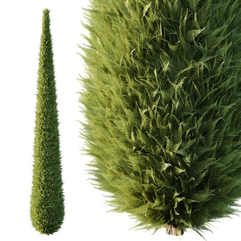 Italian Cypress Tree 14 (376847) 3D model - Download 3D model Italian ...