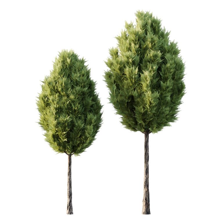 Italian Cypress Tree 18 (376938) 3D model - Download 3D model Italian ...