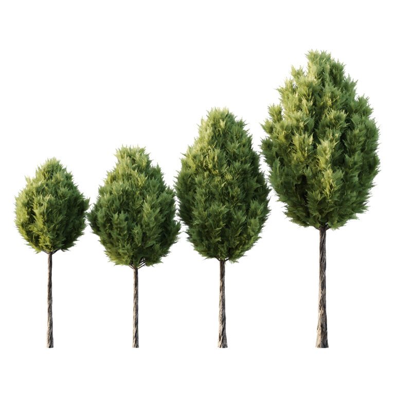 Italian Cypress Tree 18 (376938) 3D model - Download 3D model Italian ...