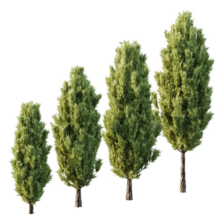 Italian Cypress Tree 19 (376940) 3D model - Download 3D model Italian ...