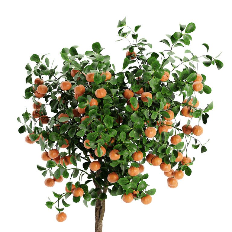 Mandarin tree (377061) 3D model - Download 3D model Mandarin tree ...
