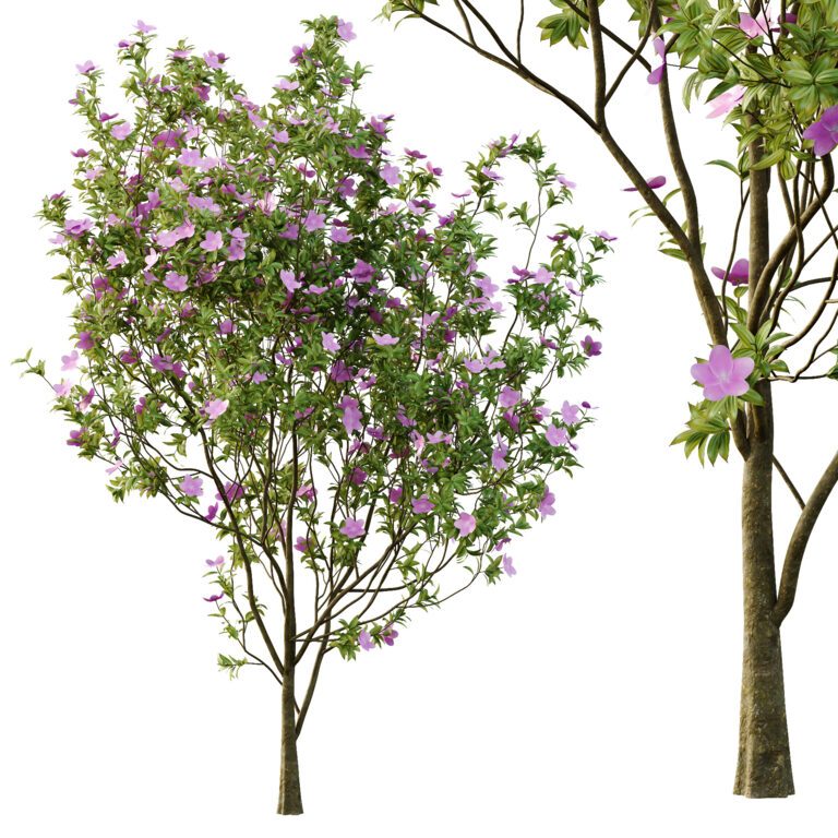 Portfolio of 3d models from hyperion | 3d-baza.com
