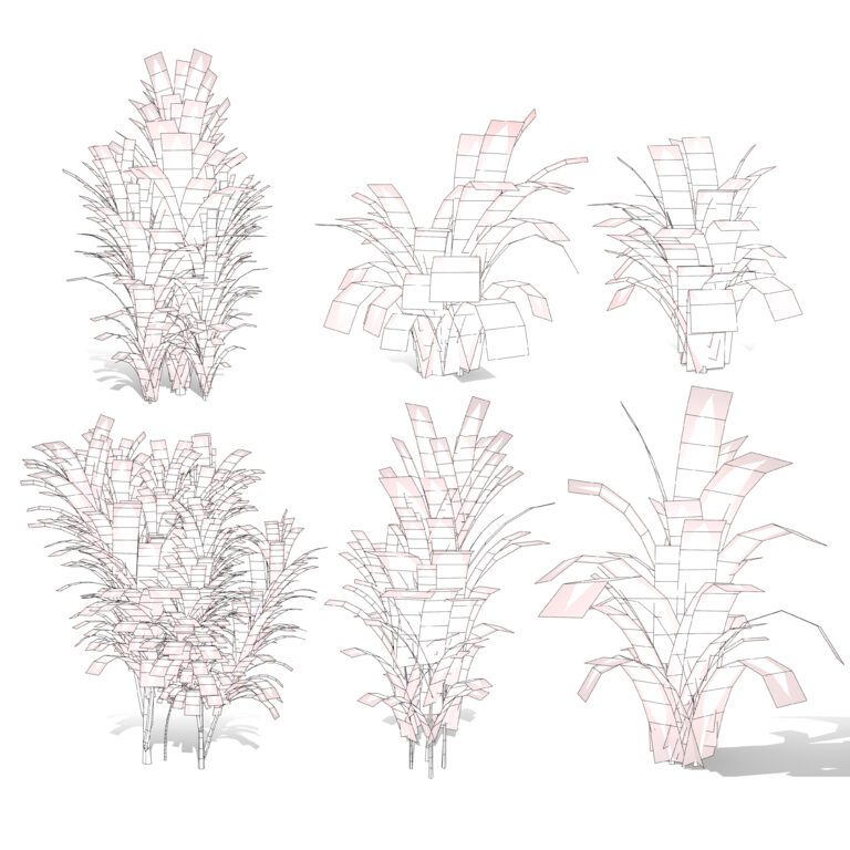 Hawaiian Ti Shrub 3D Model (378859) 3D model - Download 3D model ...