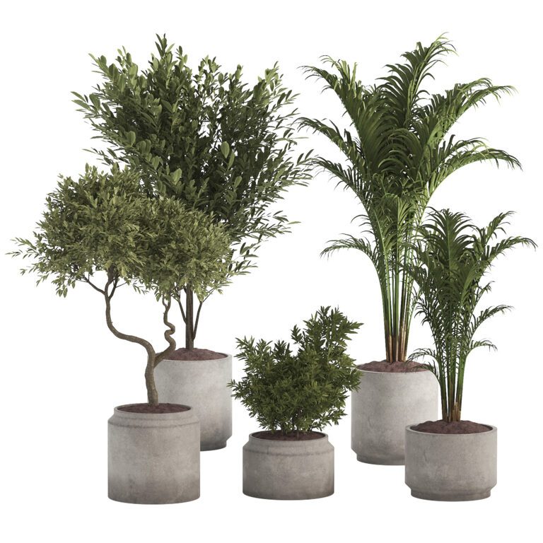 Indoor Plant Set 02 (379310) 3D model - Download 3D model Indoor Plant ...