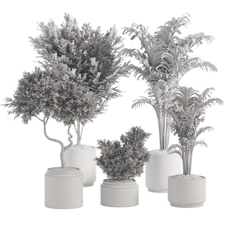 Indoor Plant Set 02 (379310) 3D model - Download 3D model Indoor Plant ...