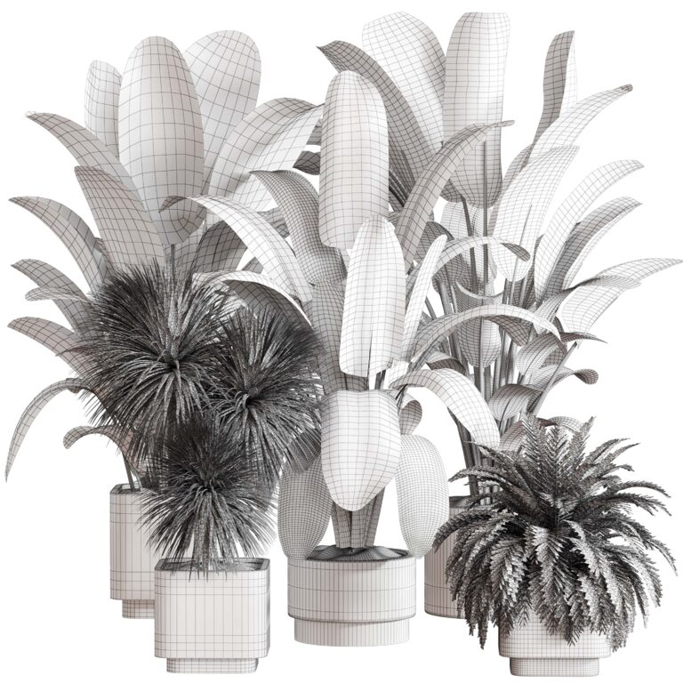 Indoor plant Set 125 (381057) 3D model - Download 3D model Indoor plant ...