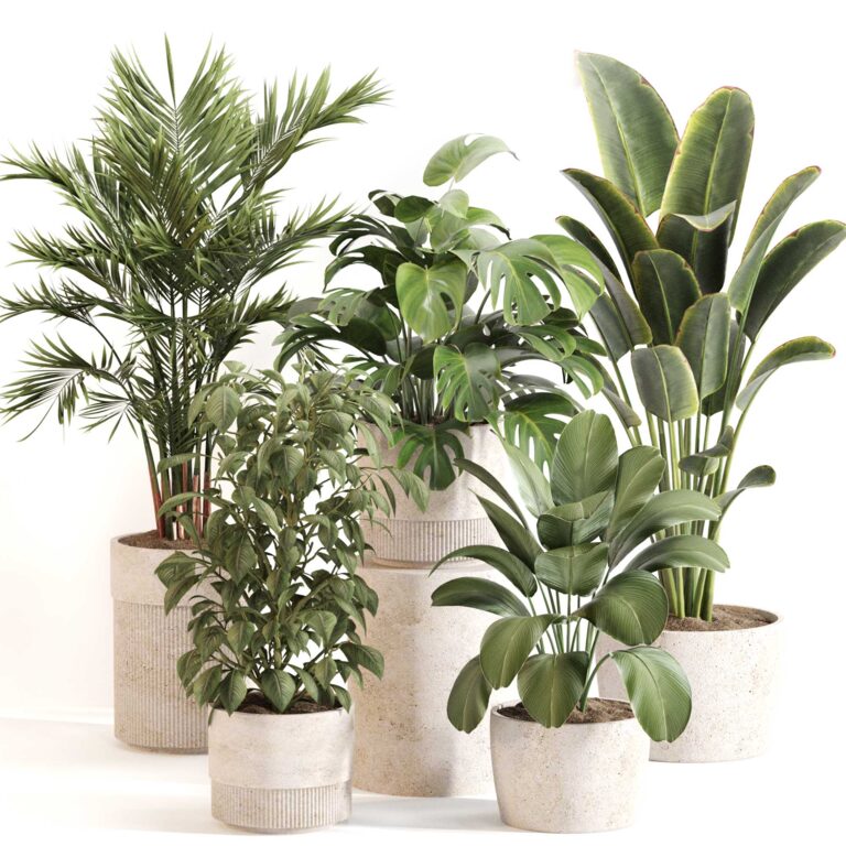 Indoor Plant Set 0117 (381273) 3D model - Download 3D model Indoor ...