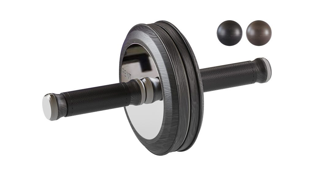TWISTA Luxury Gym AB Roller (381727) 3D model - Download 3D model ...