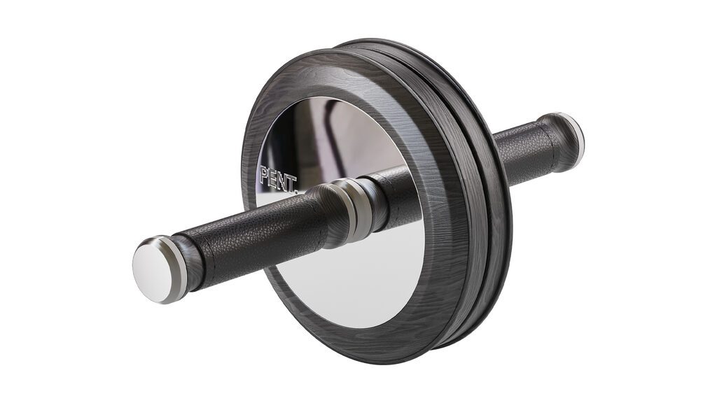 TWISTA Luxury Gym AB Roller (381727) 3D model - Download 3D model ...
