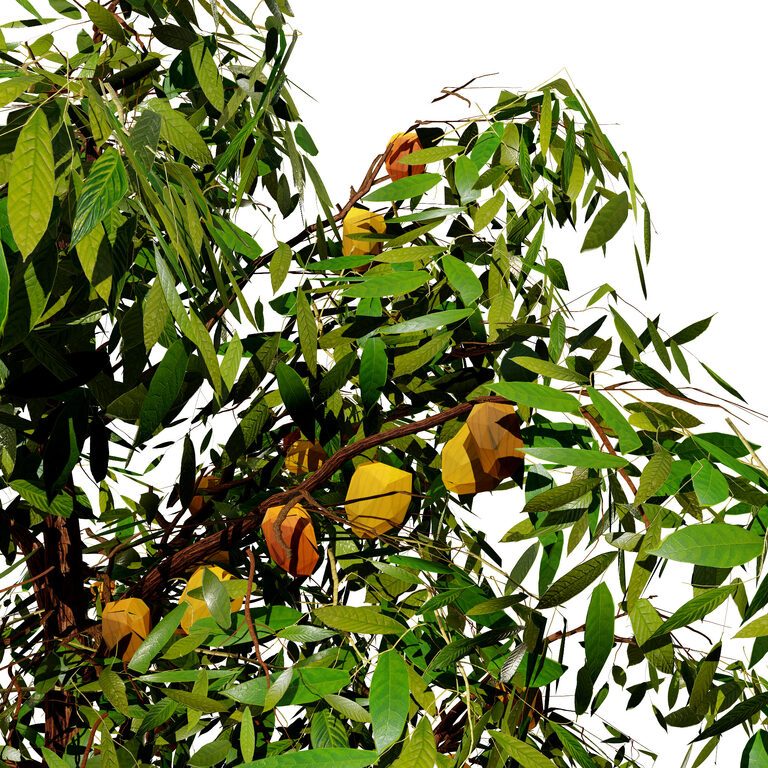 Realistic Cacao Tree 3D Model (384027) 3D model - Download 3D model ...