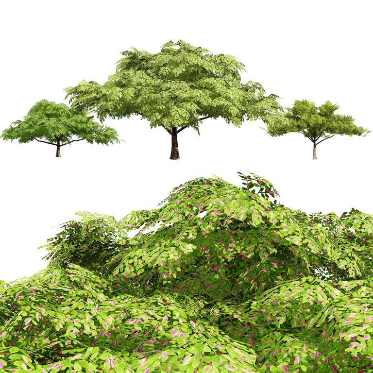 Rain Tree 3D Model (384245) 3D model - Download 3D model Rain Tree 3D ...