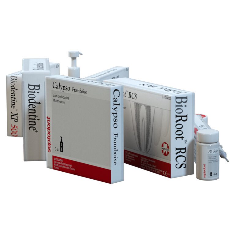 High-Quality 3D Medical Models for Professionals and Researchers