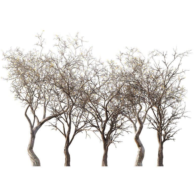 AV Winter Dry Tree (385294) 3D model - Download 3D model AV Winter Dry ...