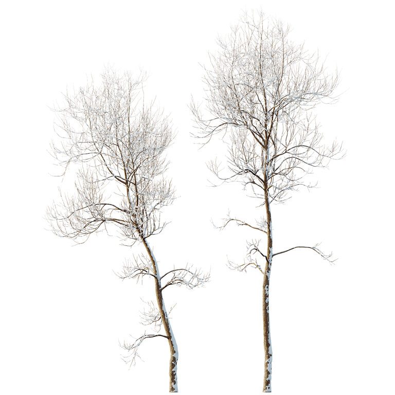 AV Plants Ash Tree Winter Snow Set02 (385400) 3D model - Download 3D ...