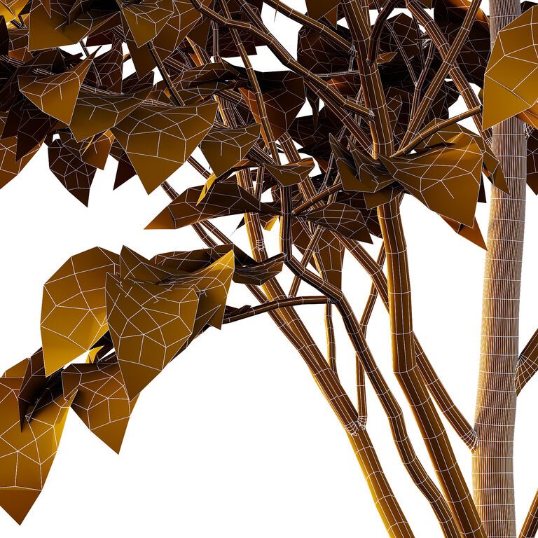 Catalpa Ovata Tree 04 (386152) 3D model - Download 3D model Catalpa ...