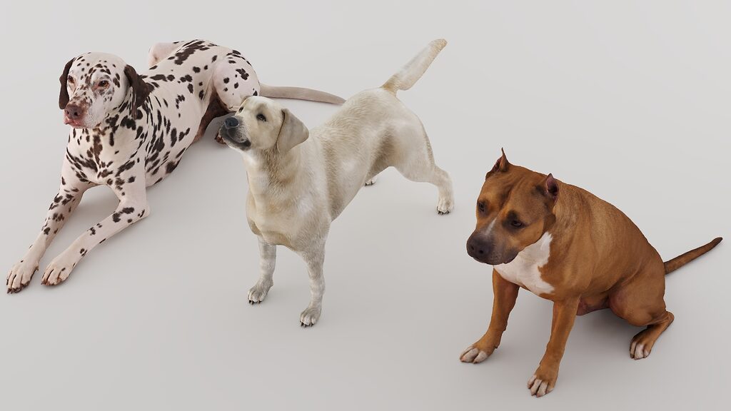 Fauna 3D models - Download 3D models | 3d-baza.com