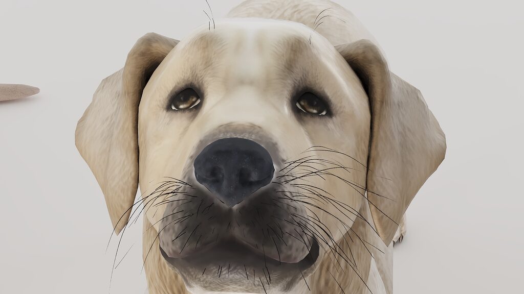 Fauna 3D models - Download 3D models | 3d-baza.com